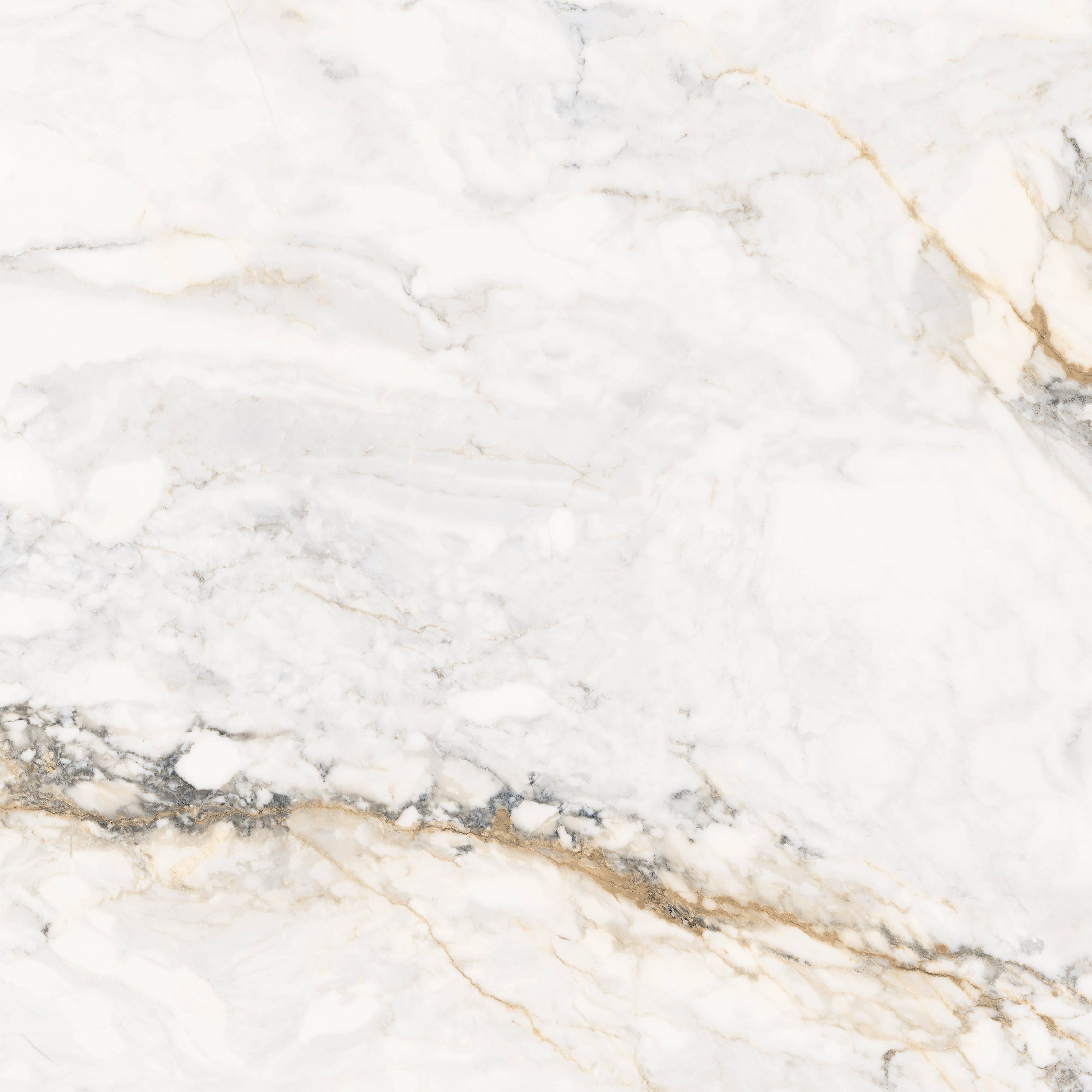 Calacata Gold | Limestone Ceramics