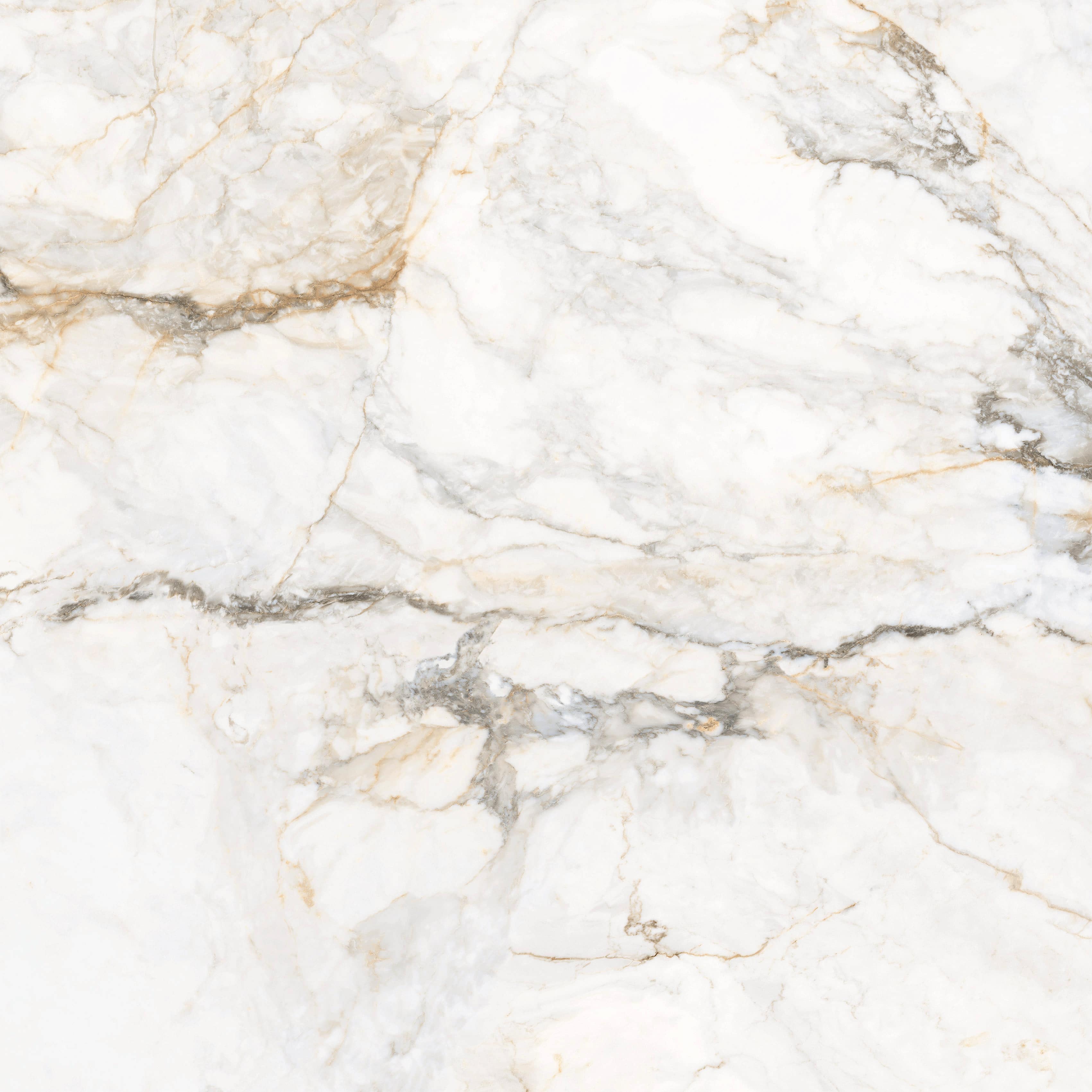 Calacata Gold | Limestone Ceramics